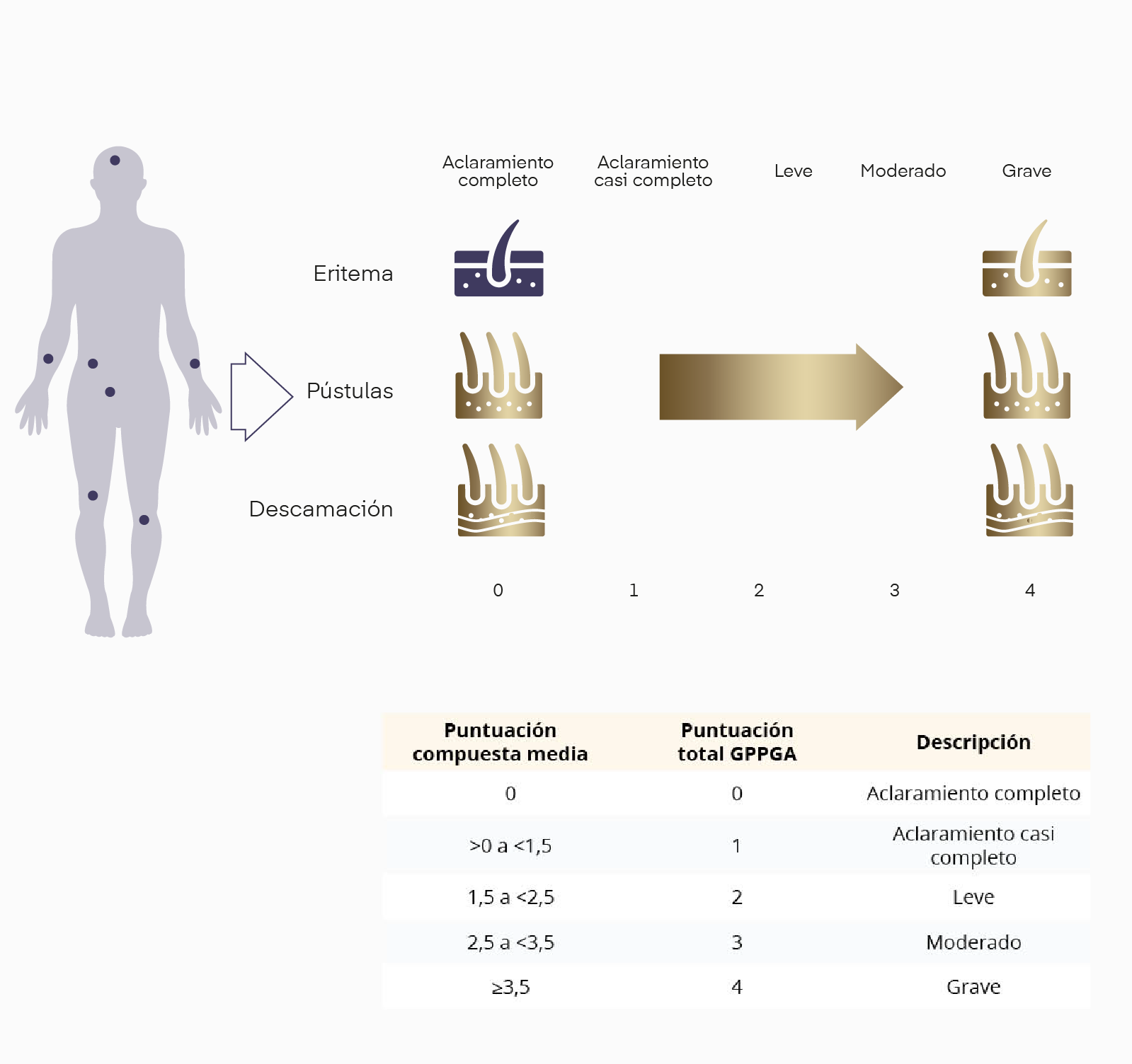 Avances en PPG | Escalas de la PPG