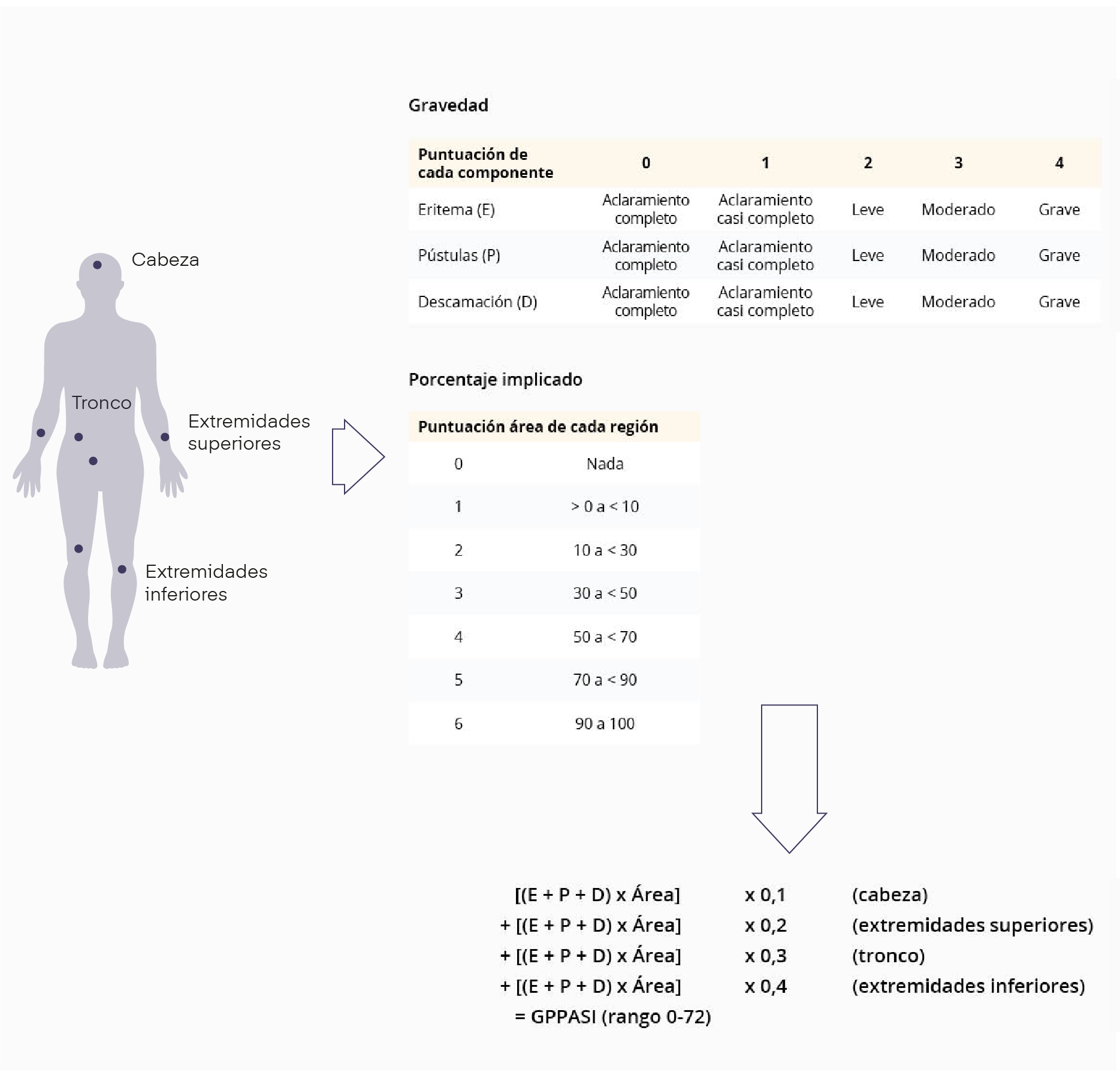 Avances en PPG | Escalas de la PPG